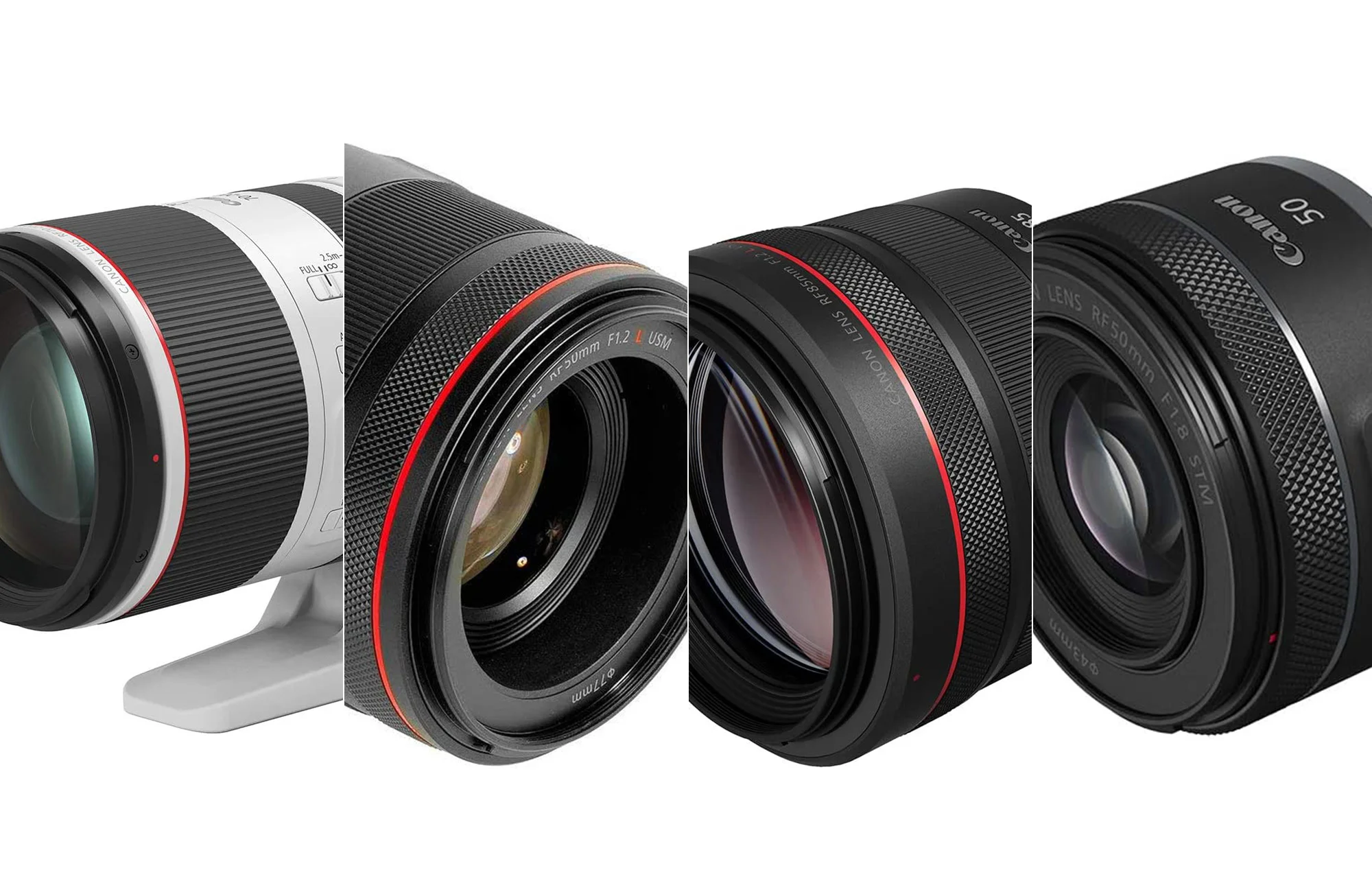 The Top 6 Canon Lenses for 2023 - TechKnowable