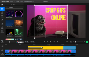 Why Did You Pick This Tool For GIF Cropping? - TechKnowable